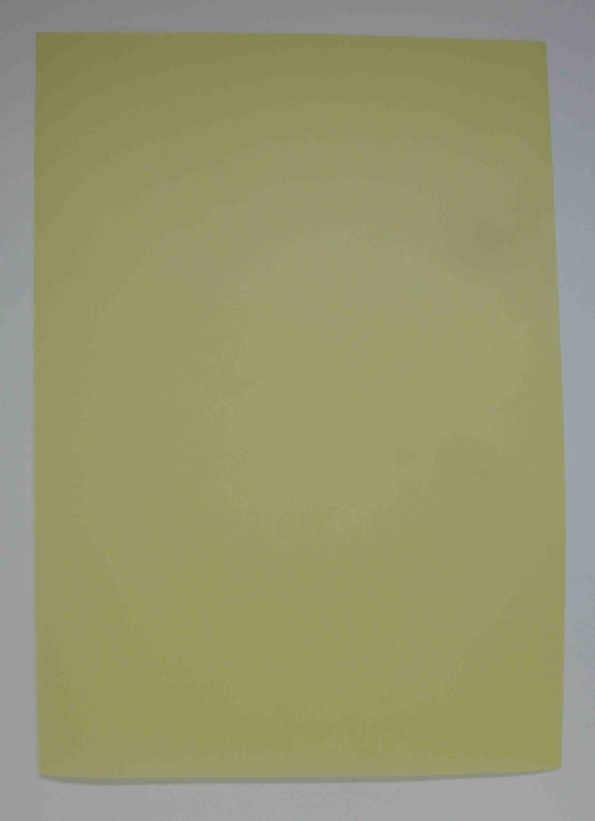 A4 - Translucent / Vellum - Plain - (Thin) - Gold Matt - A Paper Experience