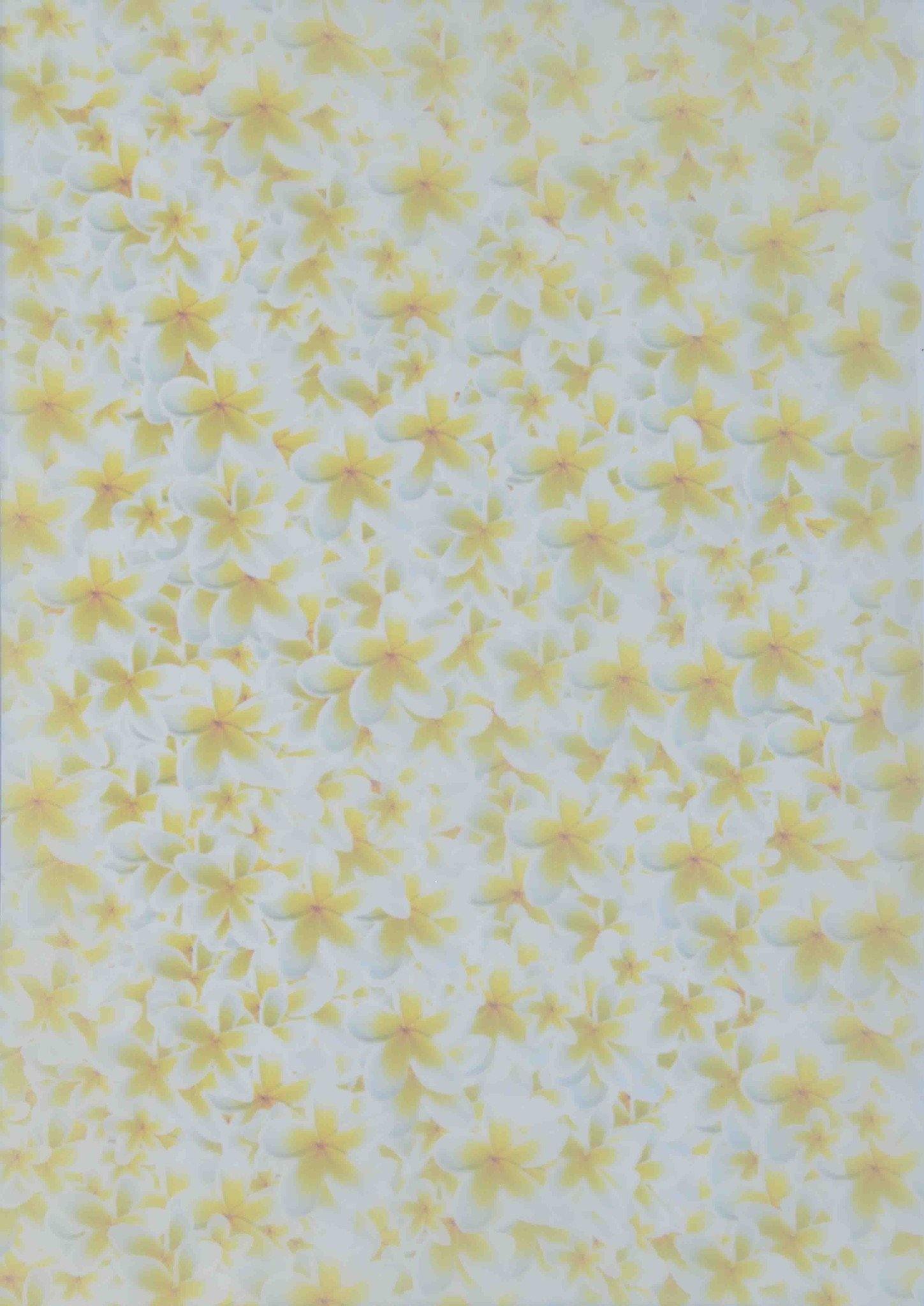 A4 - Translucent / Vellum - Patterned - Frangapani - click here to ...